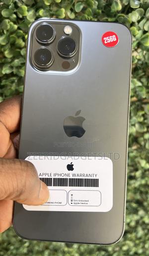 Apple iPhone 13 Pro Max 256 GB Gray in Wuse 2 - Mobile Phones ...