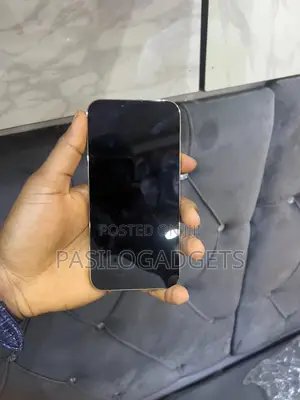 Apple iPhone 13 Pro Max 256 GB Gold in Ikeja - Mobile Phones, Paschal ...