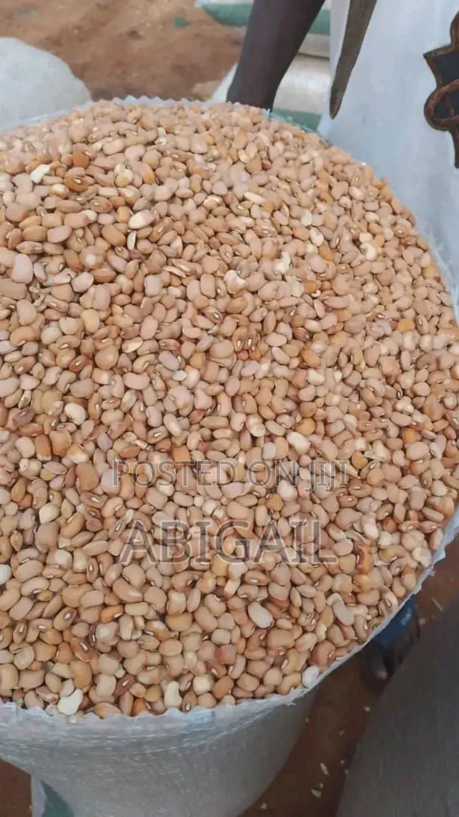 All Kinds of Beans and More My Location Is Minna Niger State in Minna ...