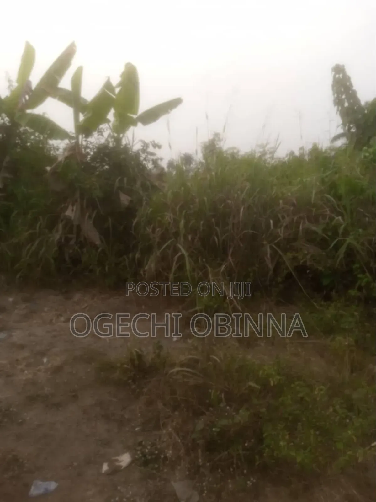 Distress Sale of Sharp Buy and Build One Plot at Chokocho Etche in Port ...