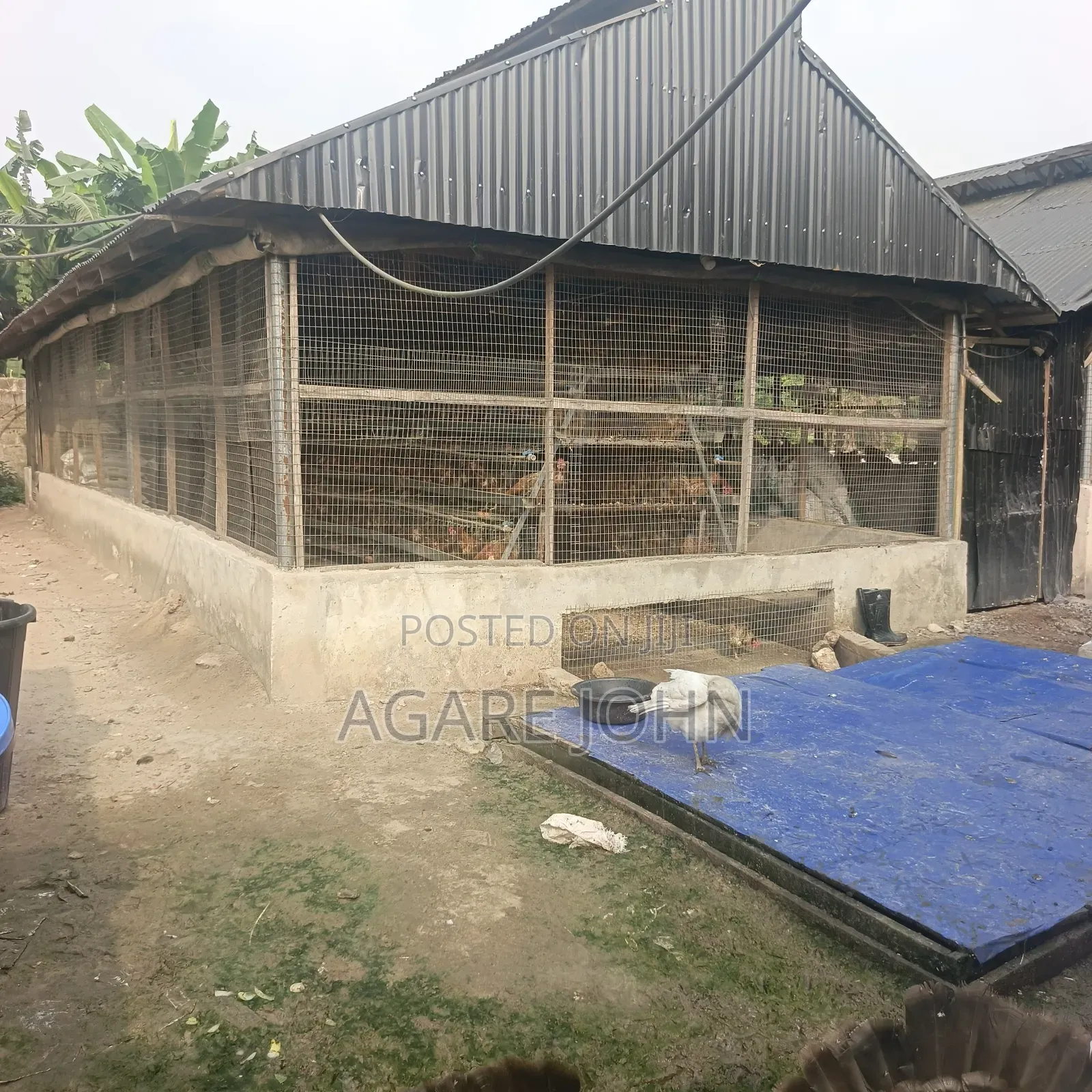 Land With Farm for Sale at Oviricourt Sapele Road in Okpe - Land ...