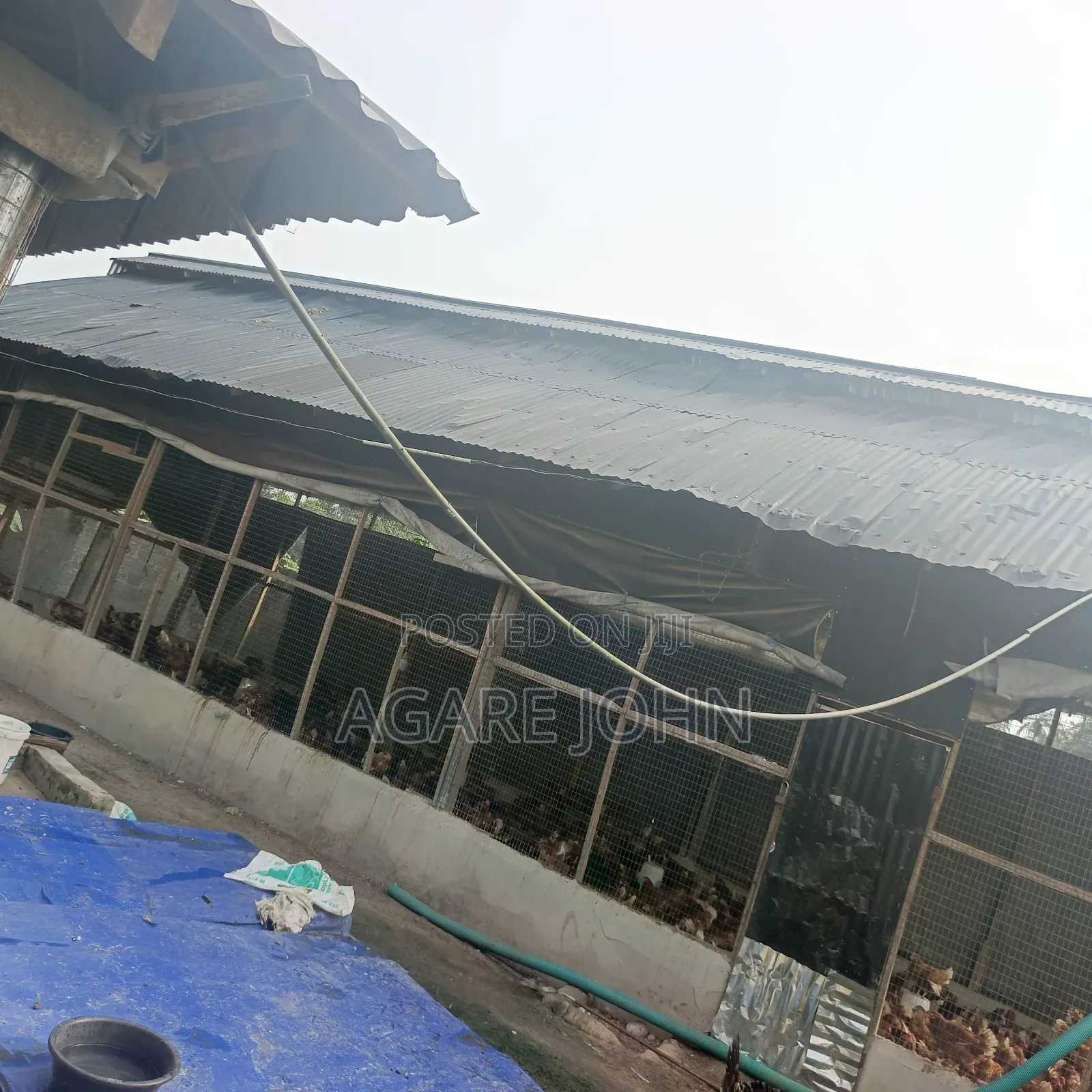 Land With Farm for Sale at Oviricourt Sapele Road in Okpe - Land ...