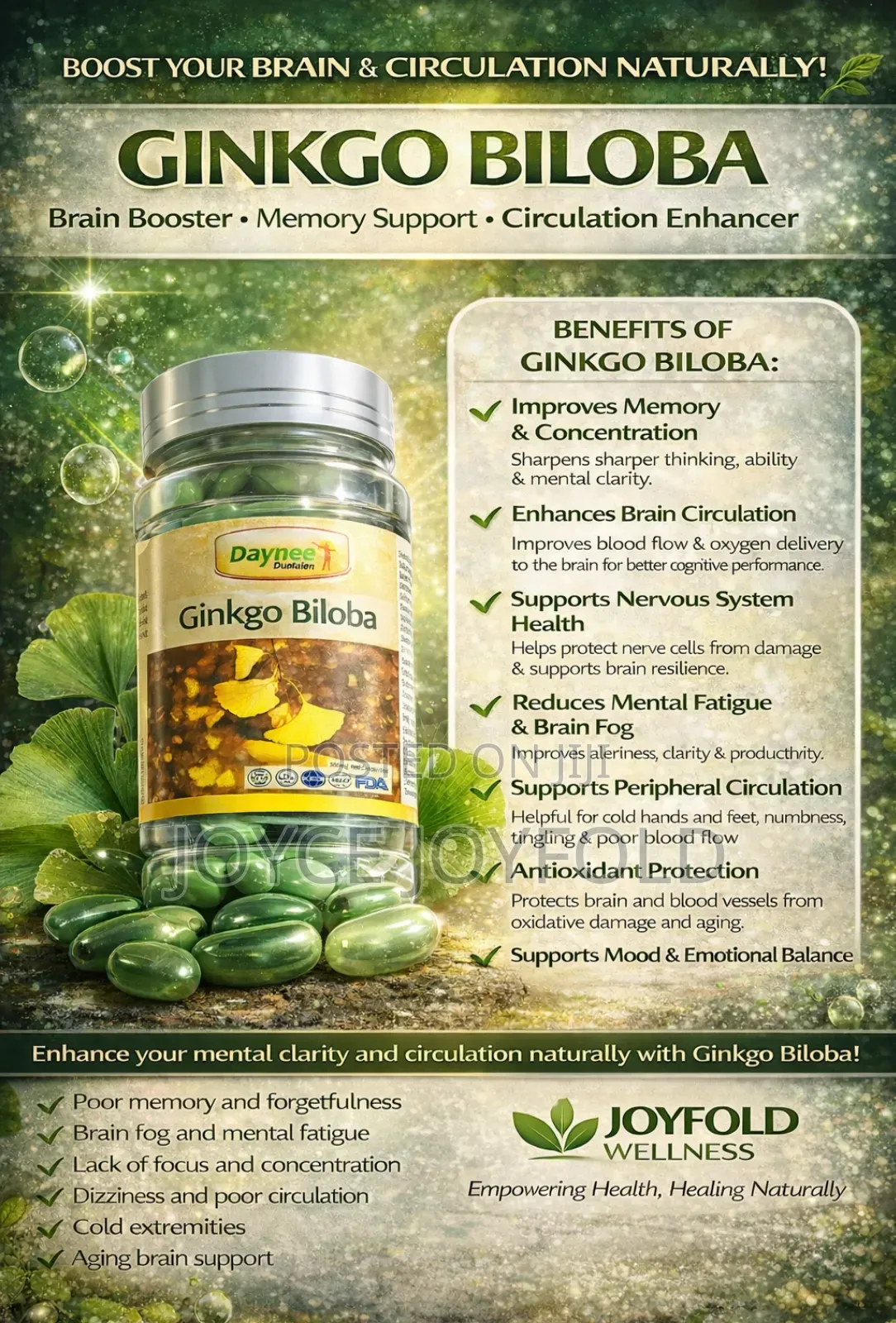Ginkgo Biloba Brain Booster • Memory Support • Circulation Enhancer in ...