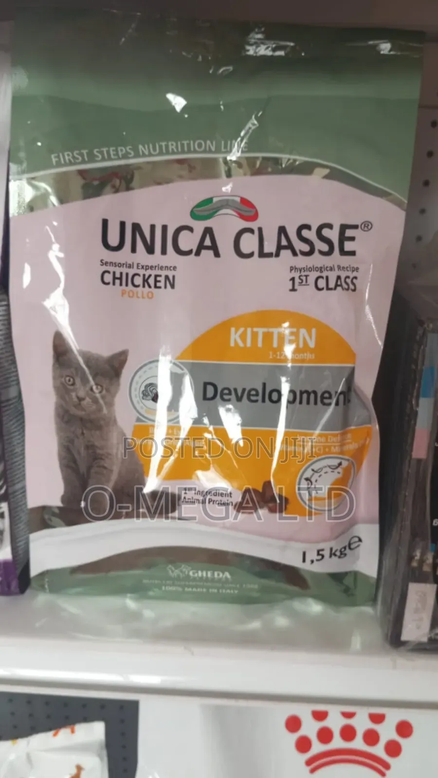 6-12 months Female Purebred Exotic in Agege - Cats & Kittens, O-mega ...