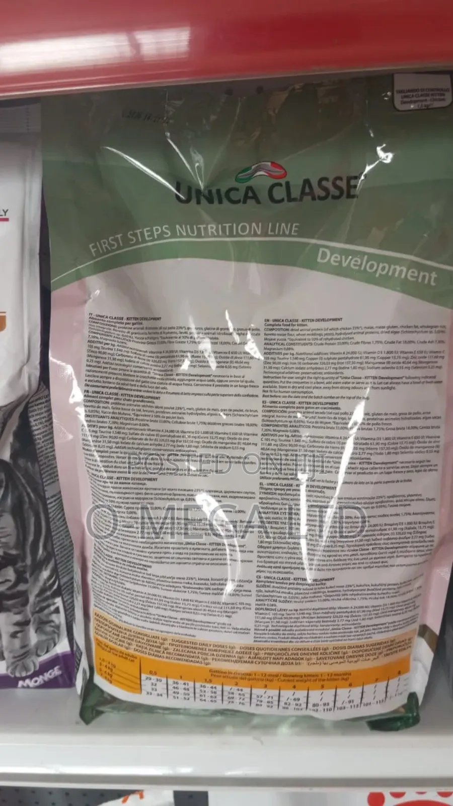 6-12 months Female Purebred Exotic in Agege - Cats & Kittens, O-mega ...