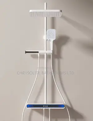 White Executive Shower Mixer in Orile - Plumbing & Water Systems ...