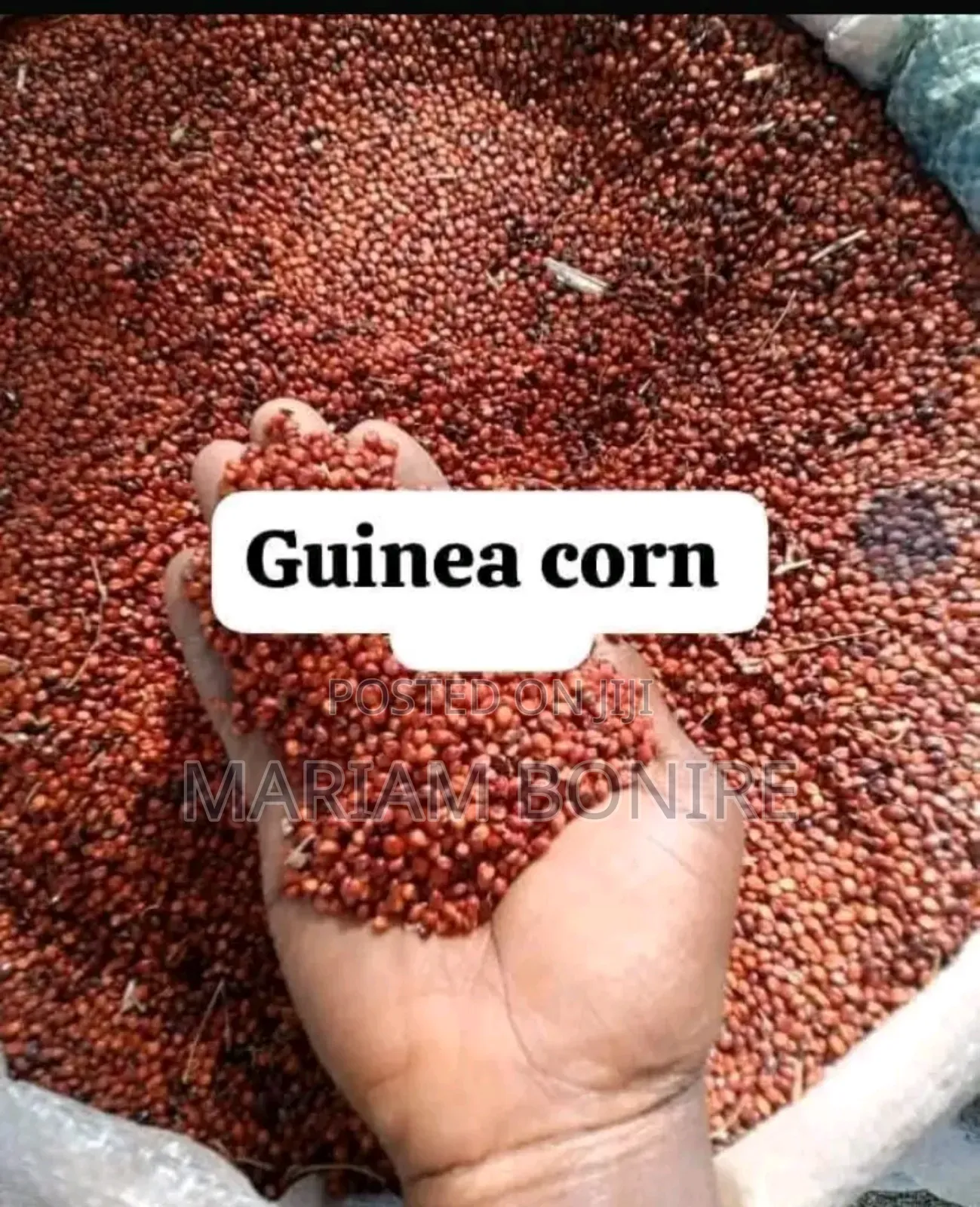 Guinea Corn in Jos - Food & Beverages, Mariam Bonire | Jiji.ng