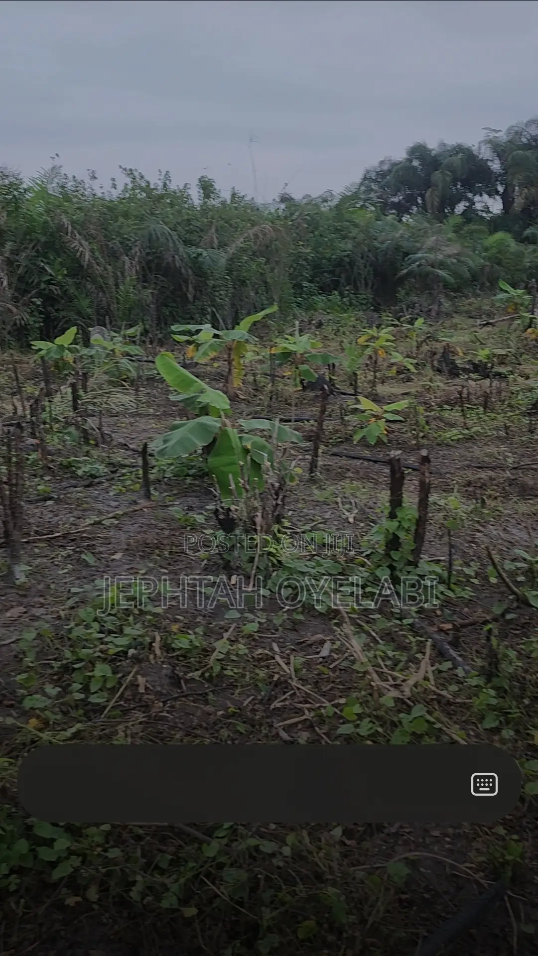 4 Plots of Land for Sale in Epe - Land & Plots for Sale, Jephtah ...