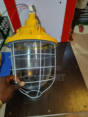 Explosion Proof Dropping Light in Central Business District ...