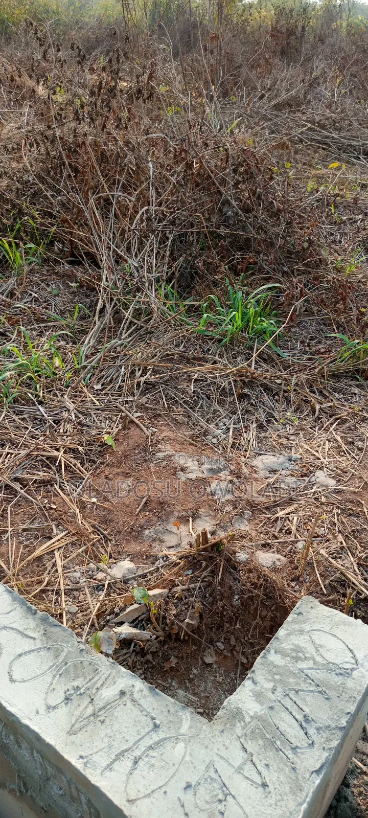 1plot of Land in Ewekoro - Land & Plots for Sale, Oladosu Owolabi | Jiji.ng