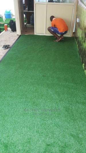 Artificial Grass In Lagos in Ikeja - Garden Supplies, Bethelmendels ...