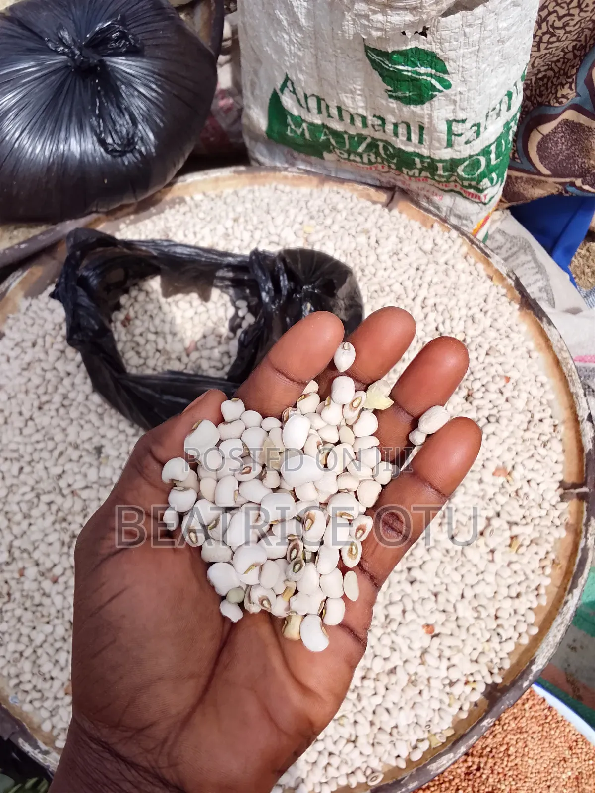 Rice ,Beans ,Maize Soya and All Grains. We Sell in Bags in Kaduna ...