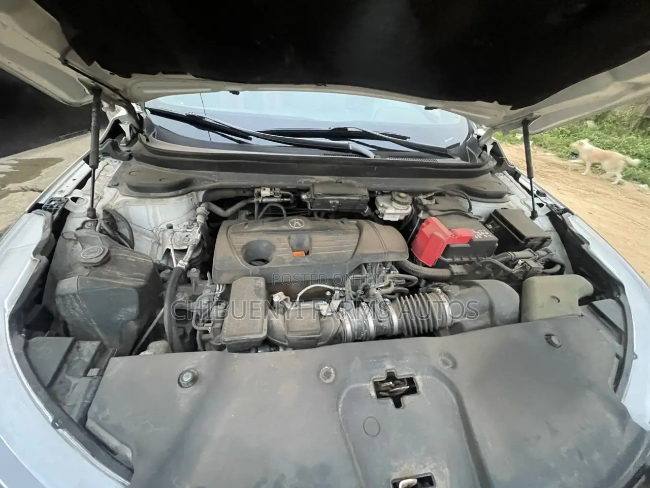 Acura RDX w/A-Spec Advance Package 2023 White in Apapa - Cars ...