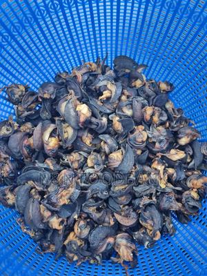 Oven Dried Snail in Ibadan - Food & Beverages, Michael Christianah ...
