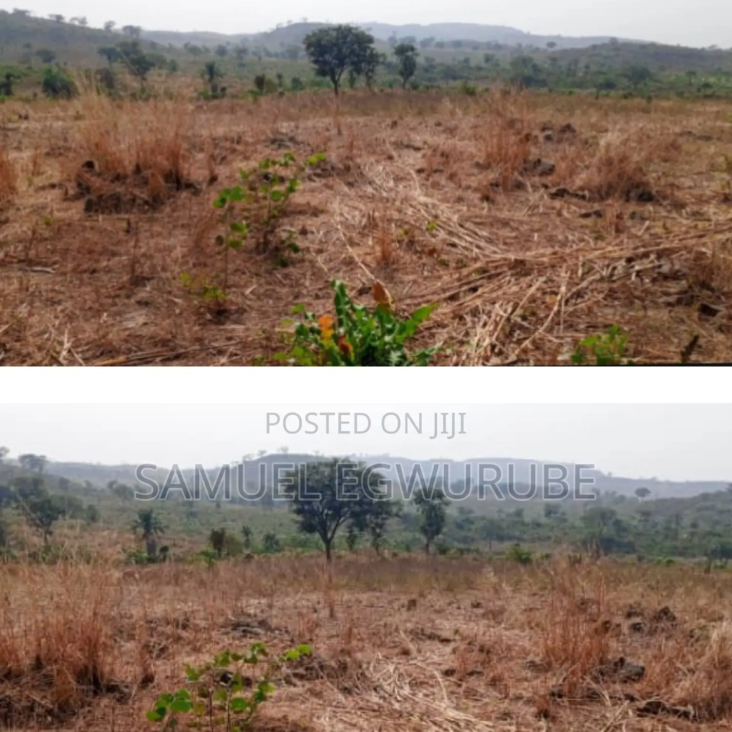 Verde At The Grove - 180sqm in Bwari / Bwari - Land & Plots for Sale ...