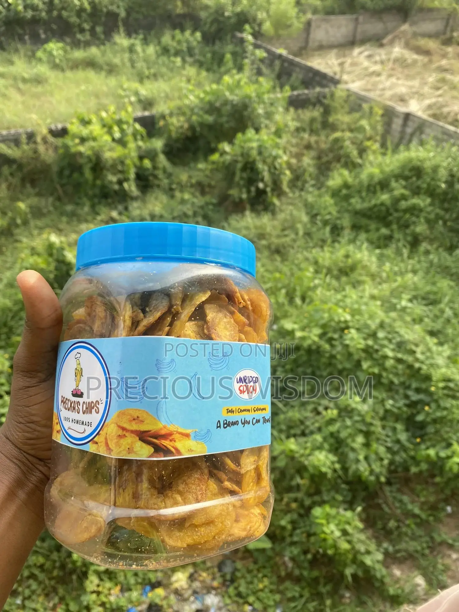 Precka Chips – Crispy Plantain Chips (Retail Wholesale Available) in ...