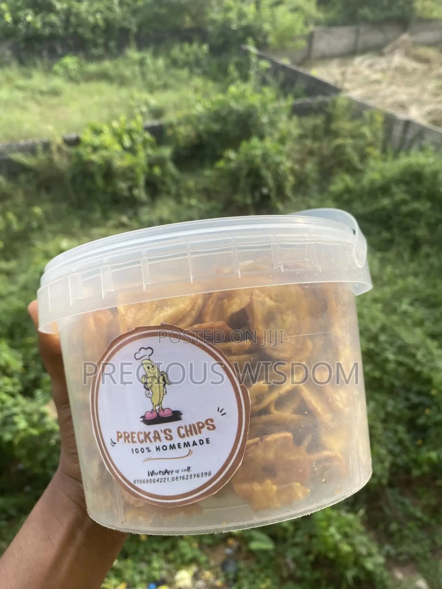 Precka Chips – Crispy Plantain Chips (Retail Wholesale Available) in ...