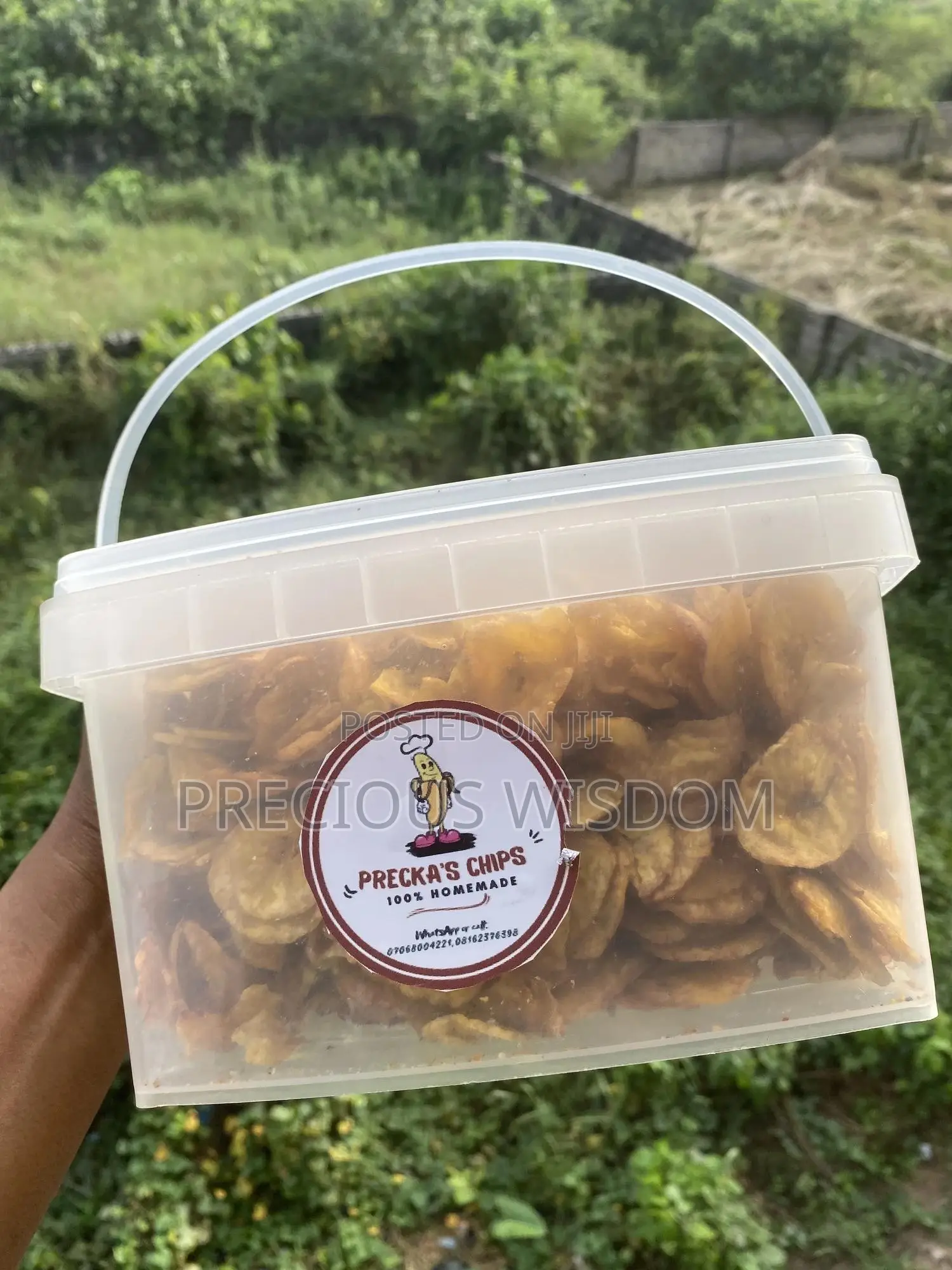 Precka Chips – Crispy Plantain Chips (Retail Wholesale Available) in ...