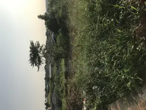 Full Plot at Egan Road, Close Winners Canannland Headquaters, Ota in ...