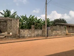 Full Plot at Ijaba, Close to Winners Canannland Headquarters, Ota in ...