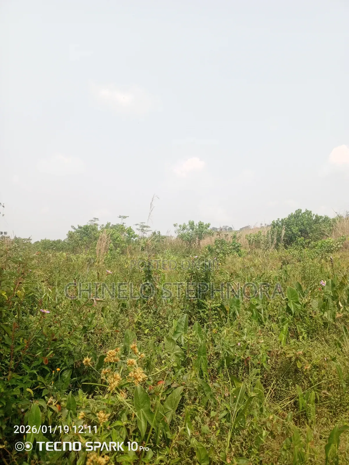 Plots for Sale at Okpanam Delta State in Onitsha - Land & Plots for ...