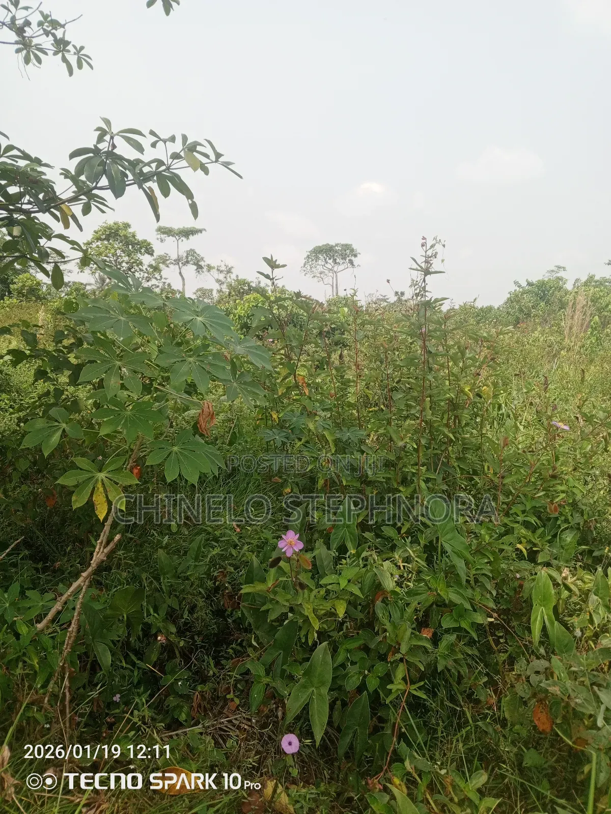Plots for Sale at Okpanam Delta State in Onitsha - Land & Plots for ...