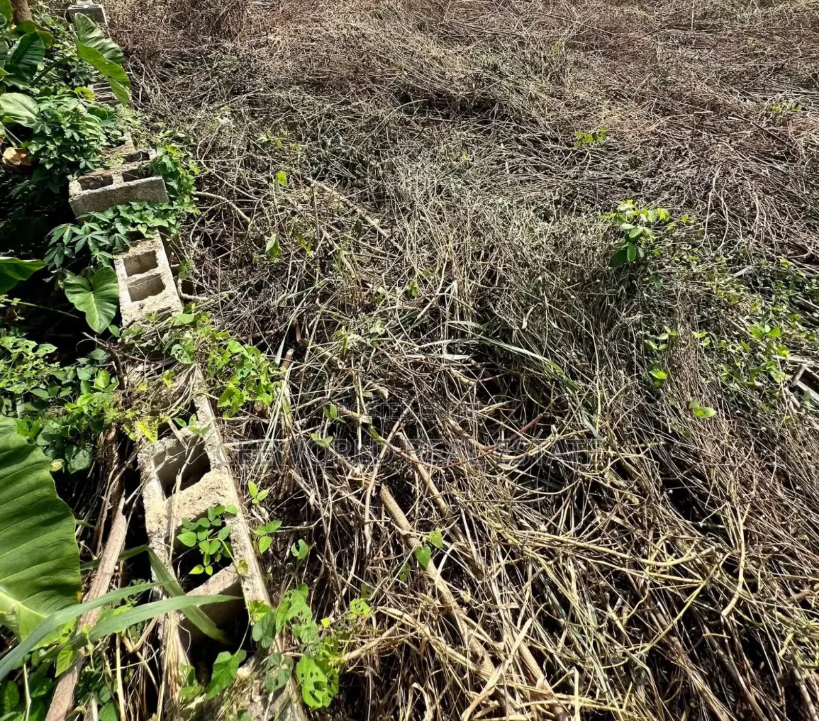 A Plot of Land at Opposite First Bank Oke Ado Ibadan in Oke Ado - Land ...