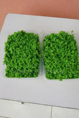Azolla for Poultry and Livestock Feed in Gwarinpa - Farm Animal Feed ...