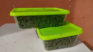 Azolla for Poultry and Livestock Feed in Gwarinpa - Farm Animal Feed ...