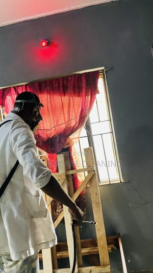Fumigation for Bedbugs and Other Insects in Agboyi/Ketu - Cleaning ...
