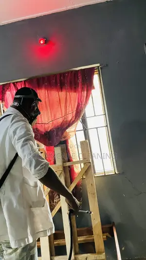 Fumigation for Bedbugs and Other Insects in Agboyi/Ketu - Cleaning ...