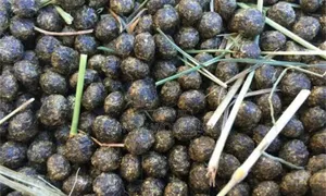 Rabbit Manure in Port-Harcourt - Seeds & Fertilizers, Kamso Agriculture ...