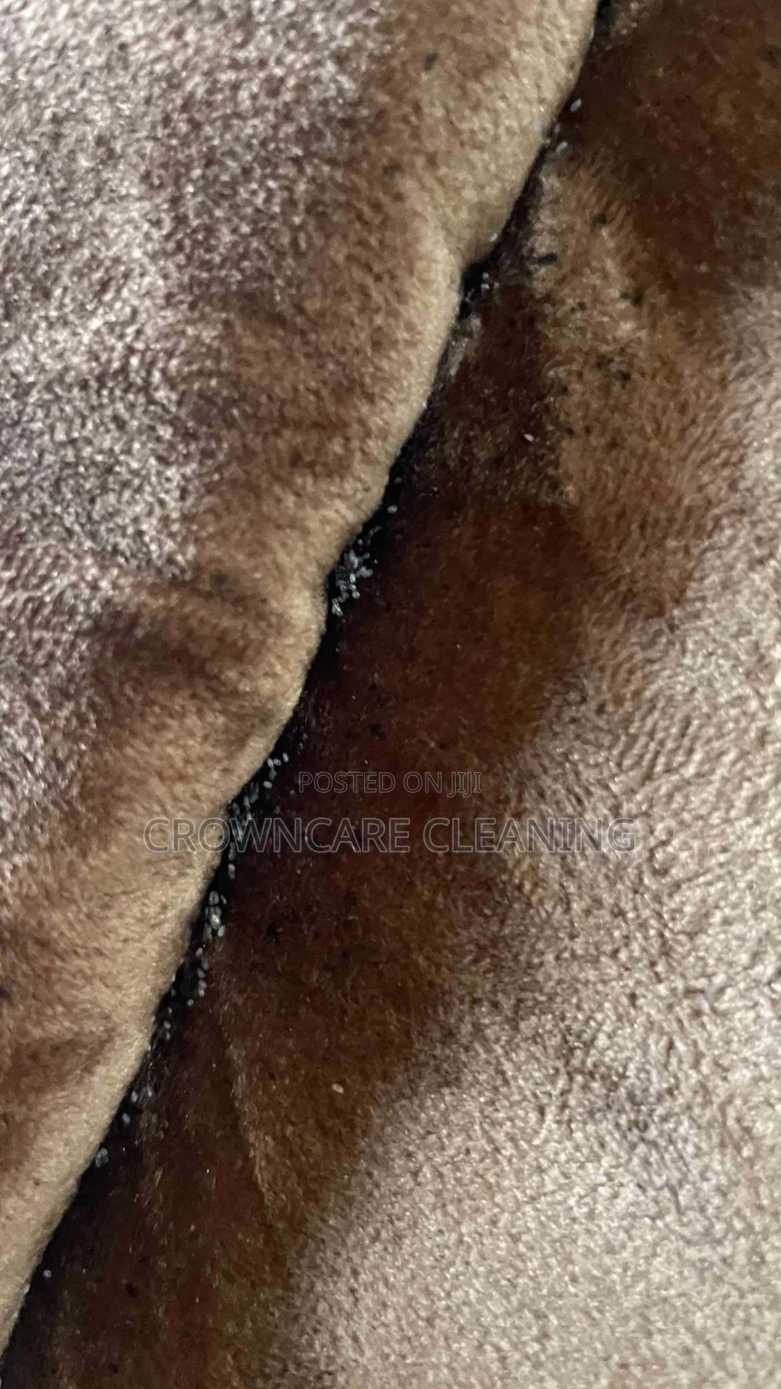 Bedbug Control You Can Trust in Ikeja - Cleaning Services, Crown Care ...