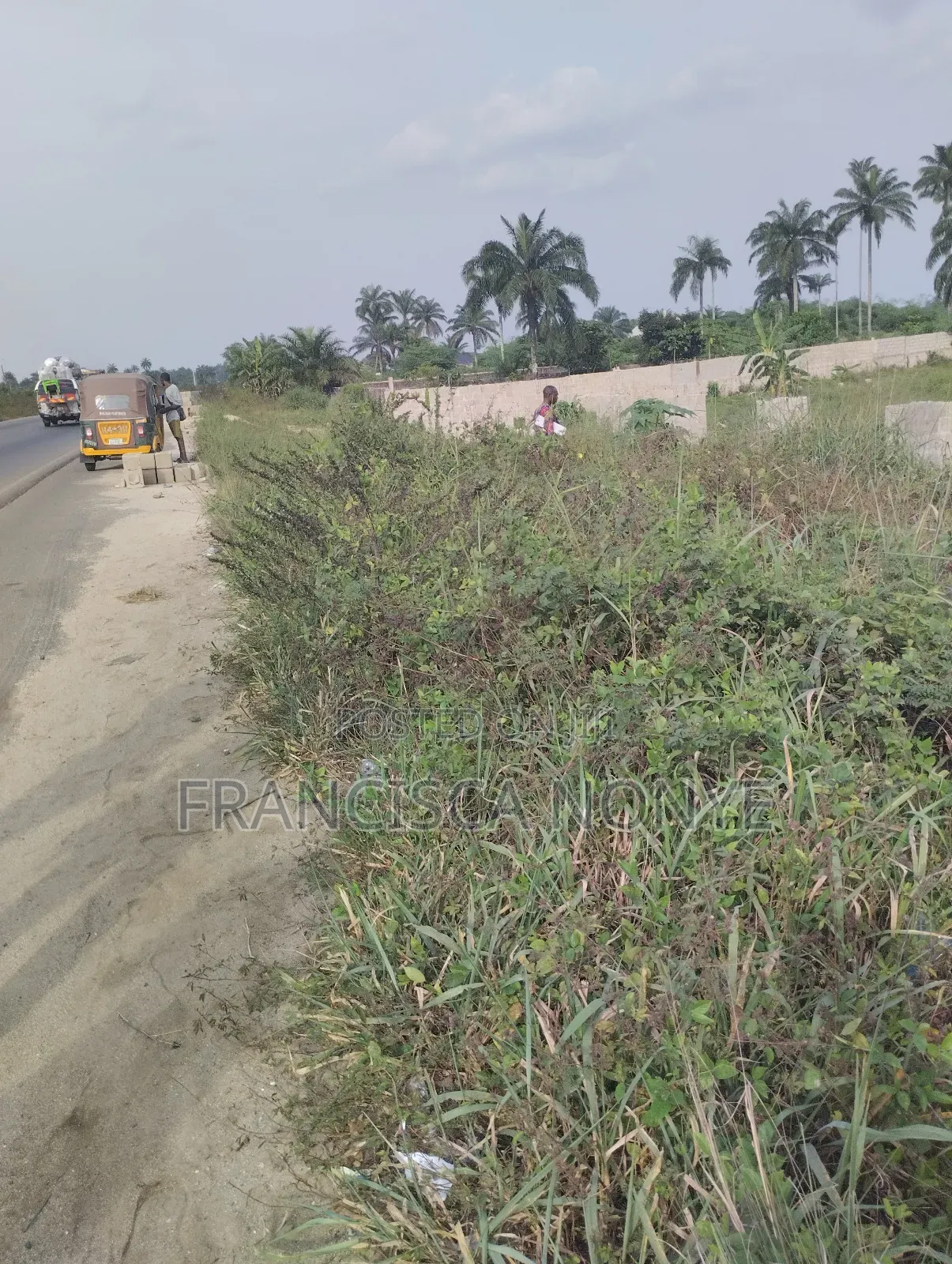 Eiv Elites City in Umuahia - Land & Plots for Sale, Francisca Nonye ...