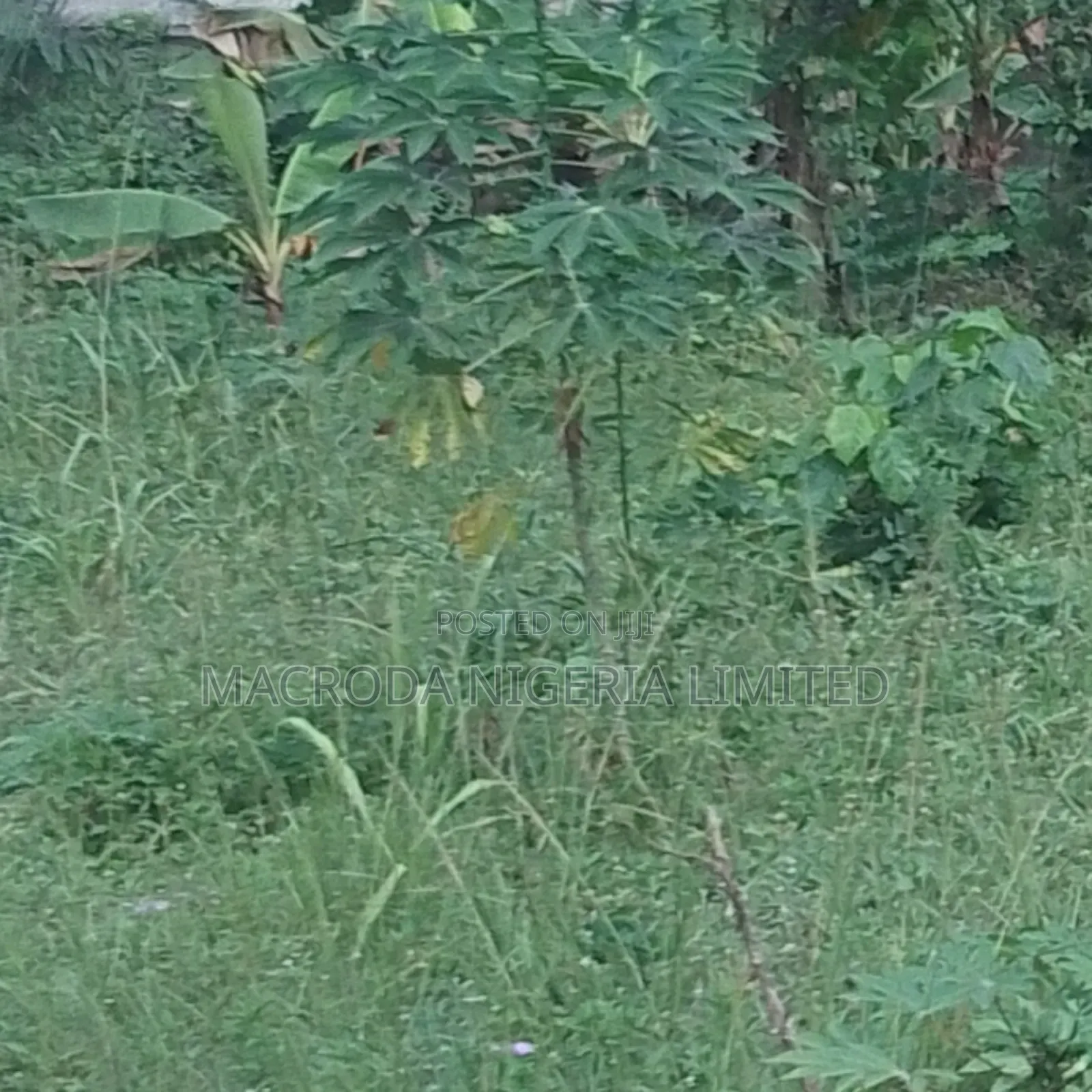 A Well Located Dry Land Available in Lekki - Land & Plots for Sale ...