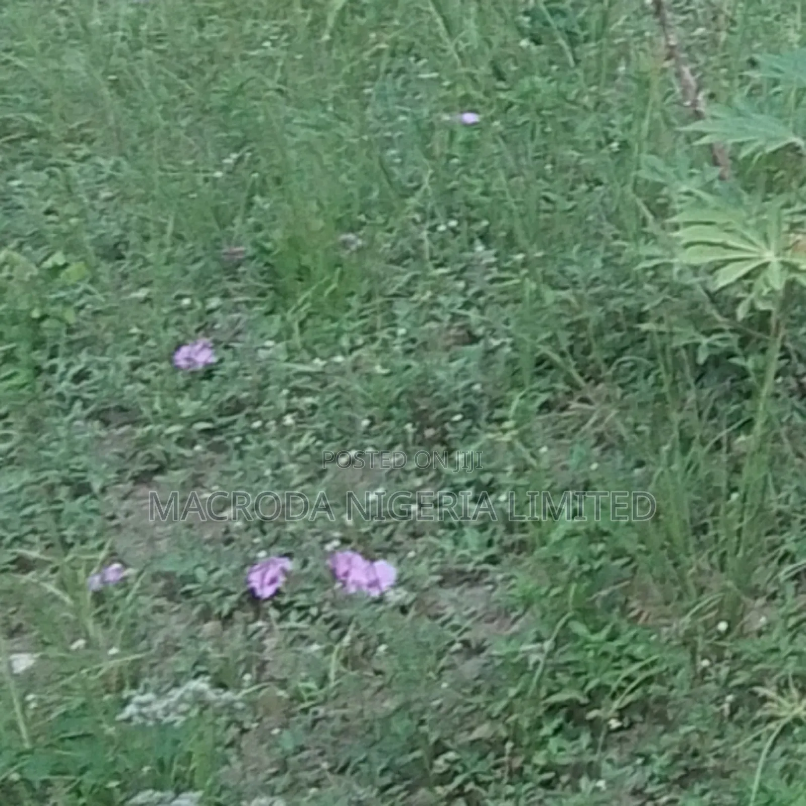 Well Positioned Land in Lekki - Land & Plots for Sale, Macroda Nigeria ...