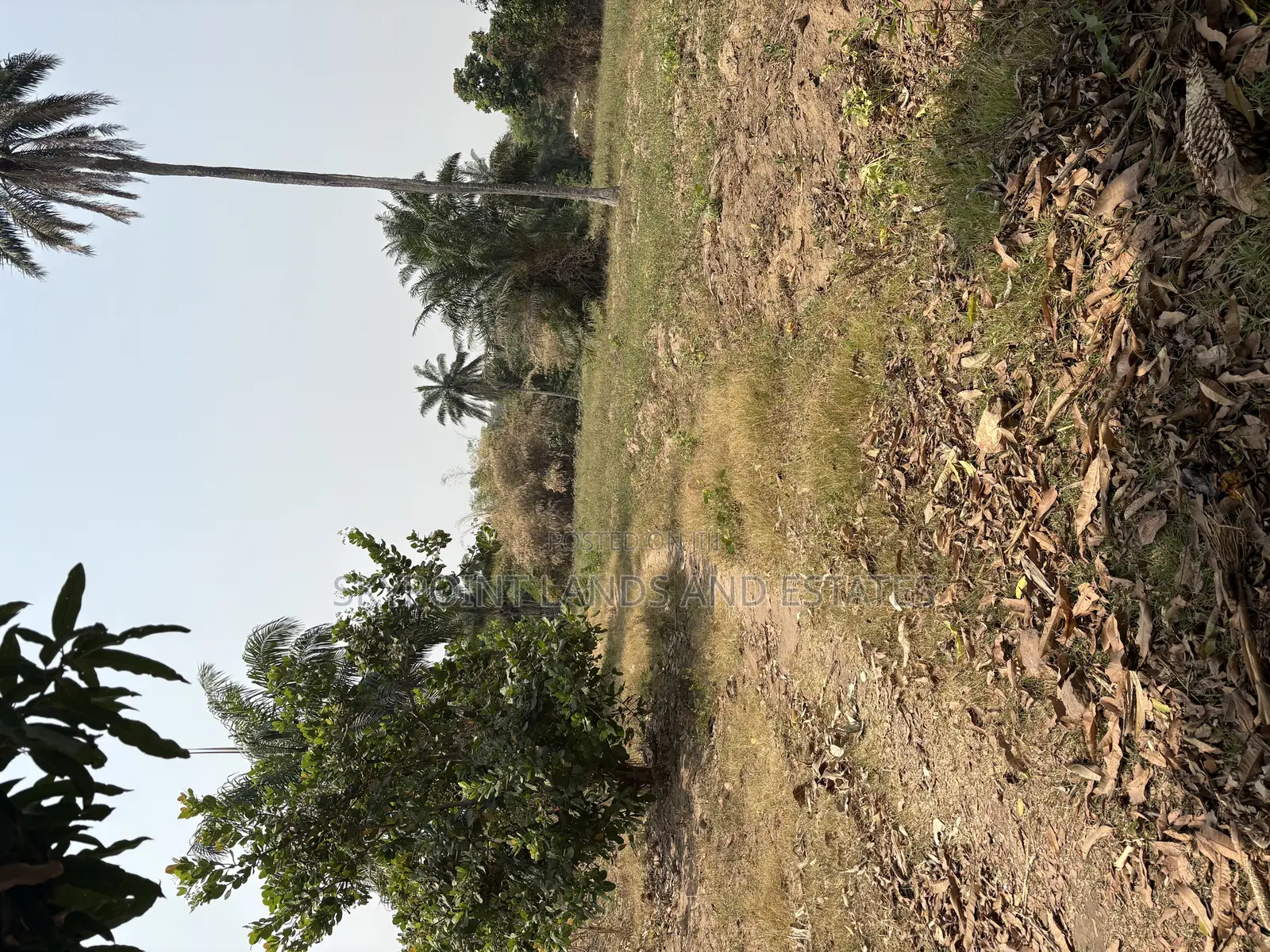 300 Acres Along Aiyetoro, Abeokuta Road, Ogun State in Ayetoro - Land ...