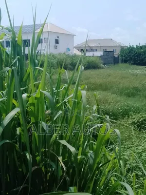 Distress Sale of 3 Plots of Land Facing Lekki-Epe Expressway for sale ...