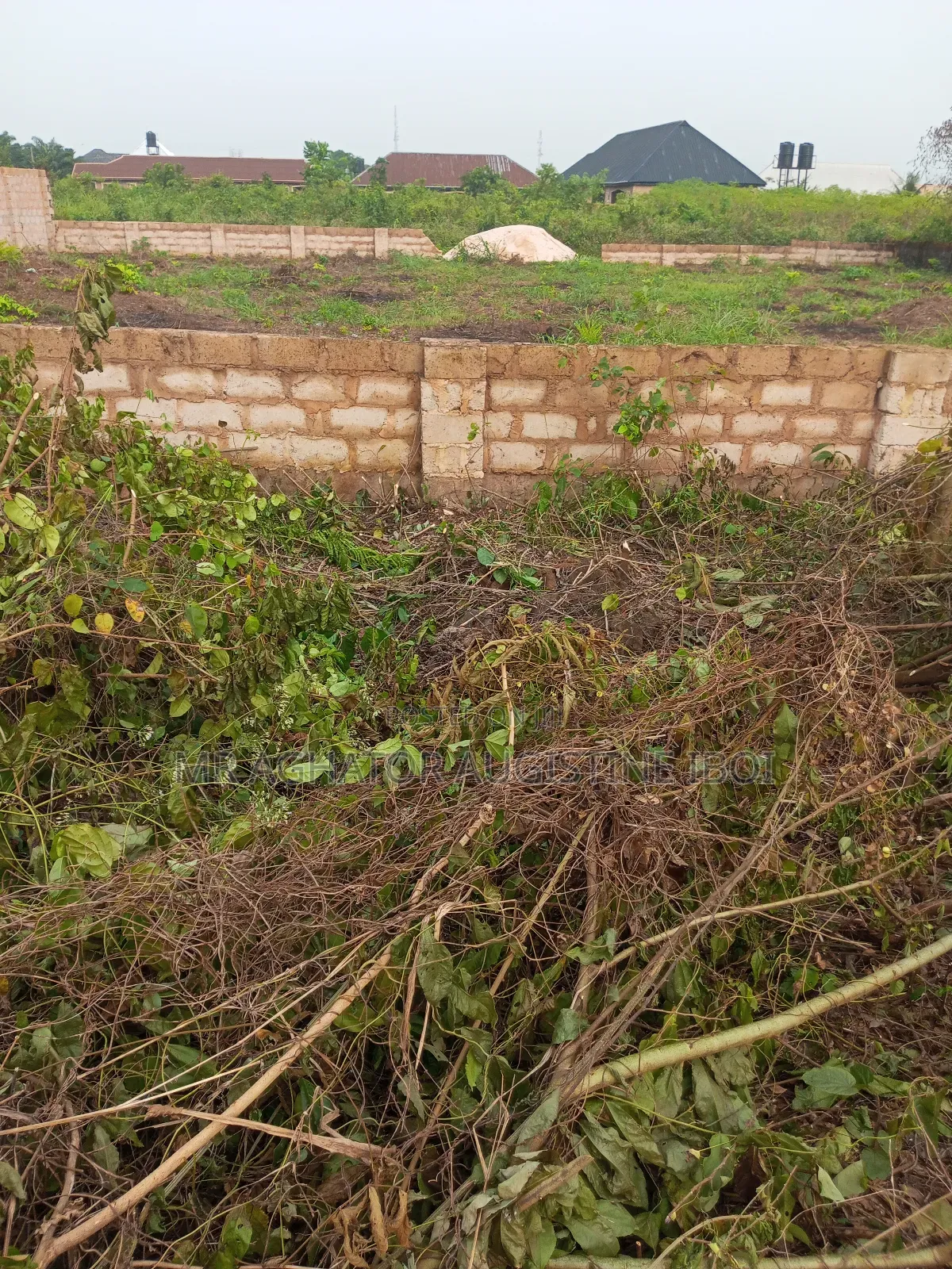Land 100ft by 100ft in Benin City - Land & Plots for Sale, Mr Aghator ...