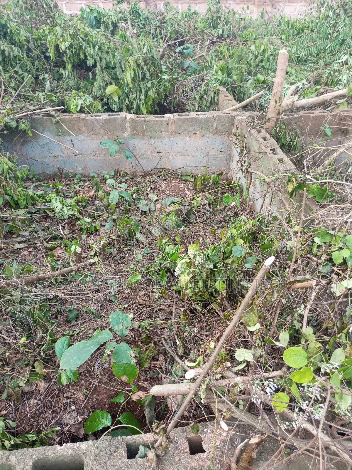 Land 100ft by 100ft in Benin City - Land & Plots for Sale, Mr Aghator ...