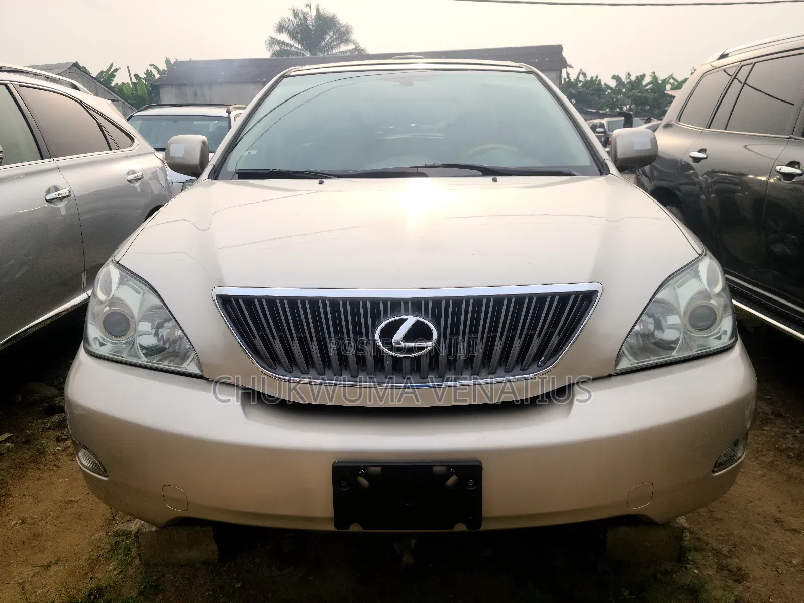 Lexus RX 330 2005 Gold in Port-Harcourt - Cars, Chukwuma Venantius ...
