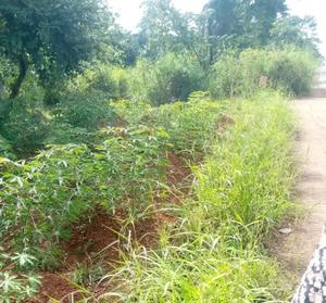3 Plots of Land for Sale at Onueke Airport Road Abakaliki Ebonyi State ...