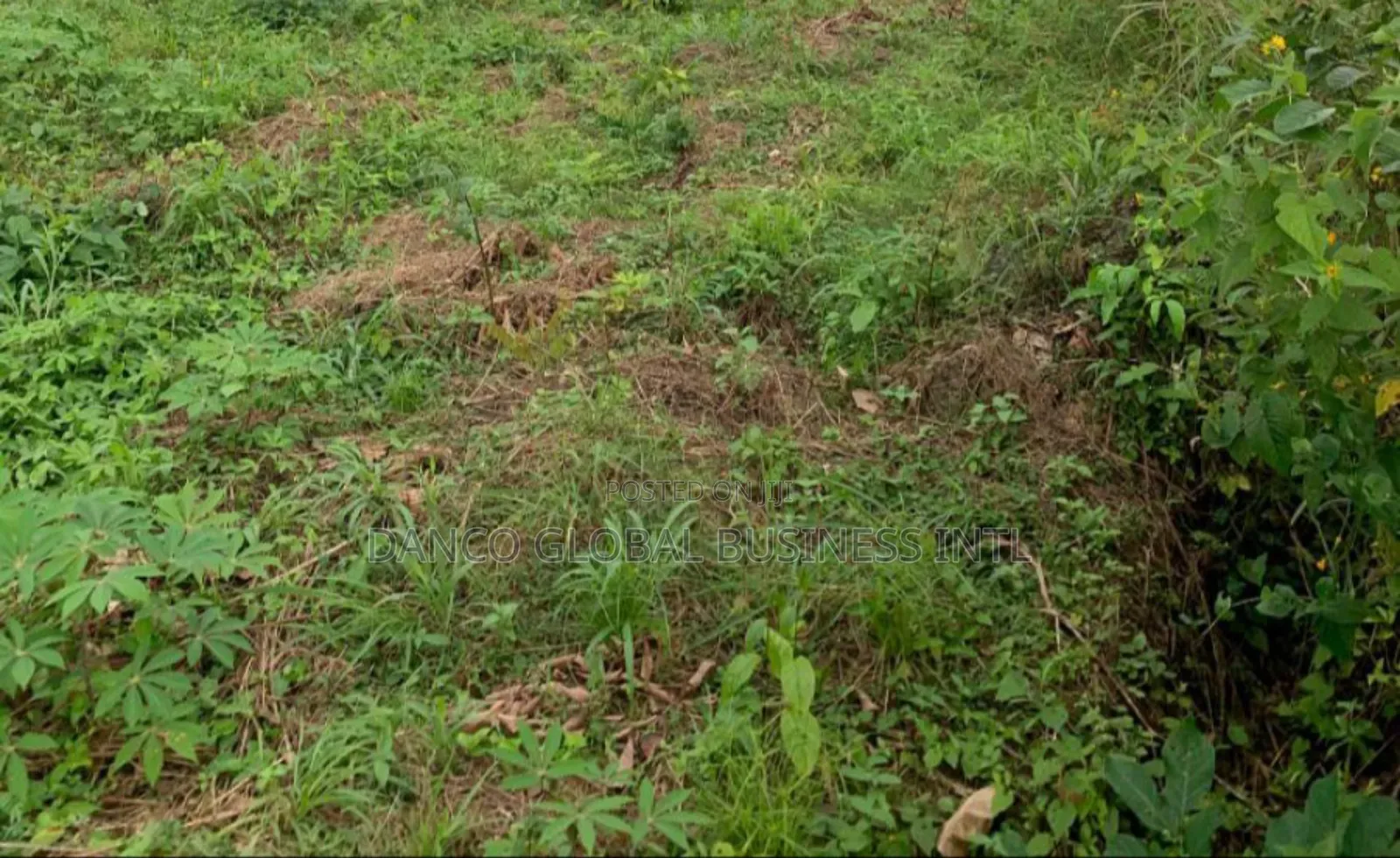 3 Plots of Land for Sale at Onueke Airport Road Abakaliki Ebonyi State ...