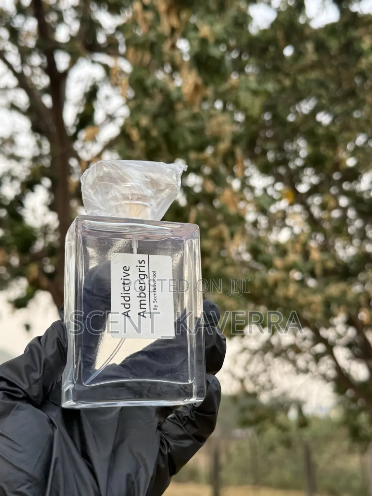 Addictive Ambergris Oil Perfume 100ml in Gudu - Fragrances, Scent ...