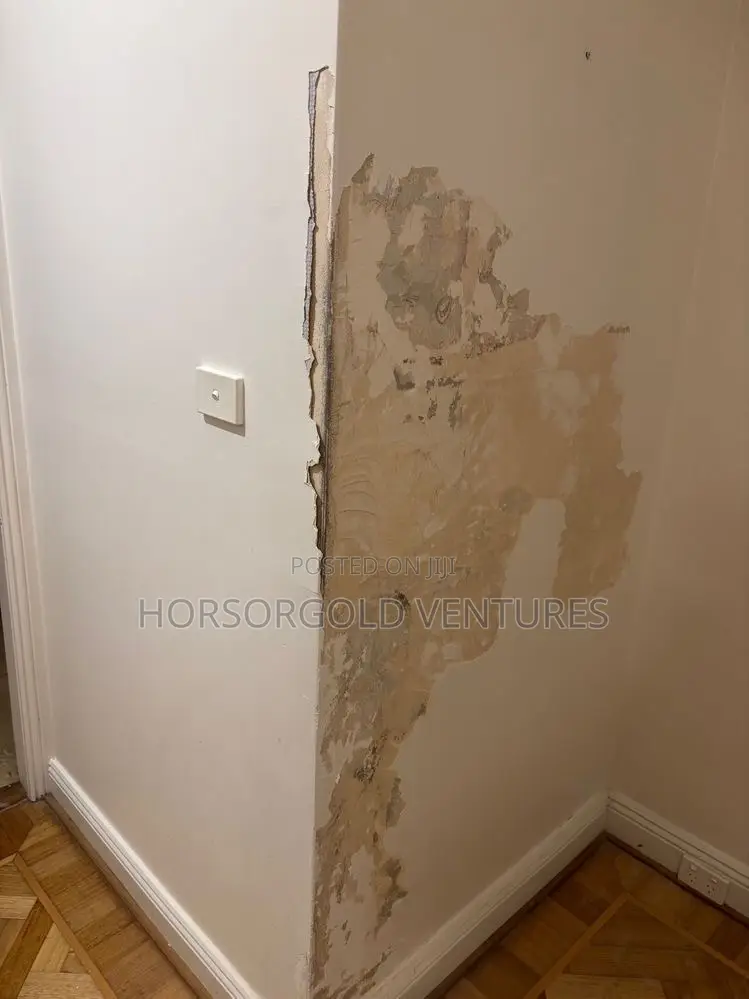 Wall Defects Treatment in Lagos State - Building & Trade Services ...