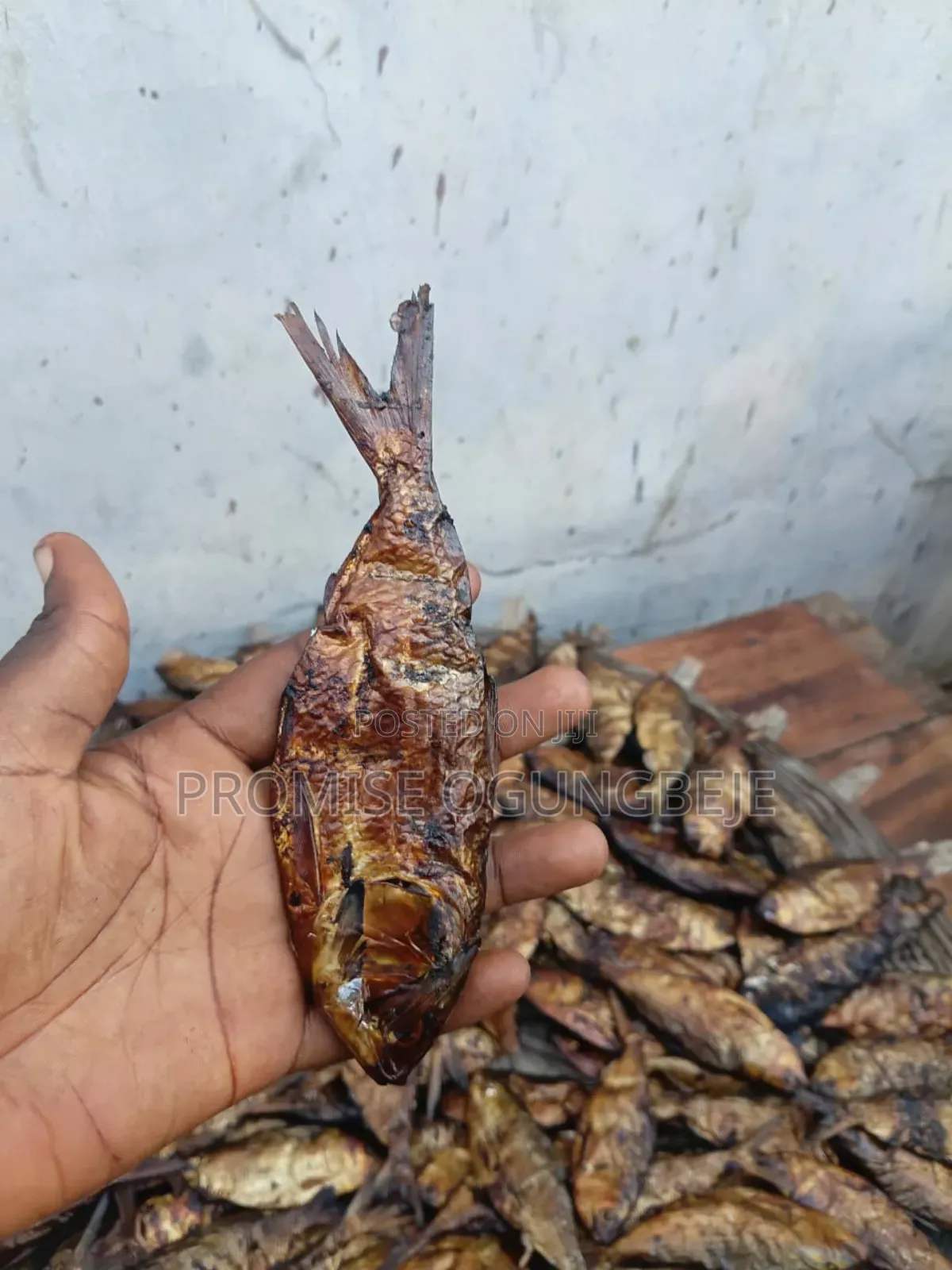 Bonga Fish 2 Inches in Ojo - Farm Animals, Promise Ogungbeje | Jiji.ng