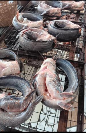 Dry Mangala Fish in Surulere - Food & Beverages, Kamsoul Foods | Jiji.ng