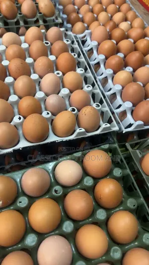 Fresh Farm Eggs Available in Crates for sale - Classic Cold Room And ...