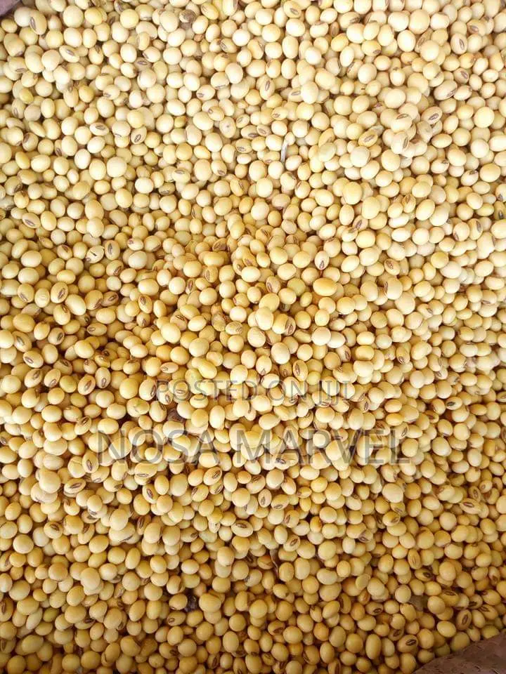 Soya Beans For Sale for sale - Price: ₦ 800,000 on Jiji.ng [Kano Municipal]