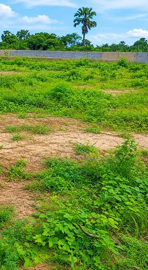 Land & Plots For Sale in Nigeria Prices in June 2026 on Jiji.ng